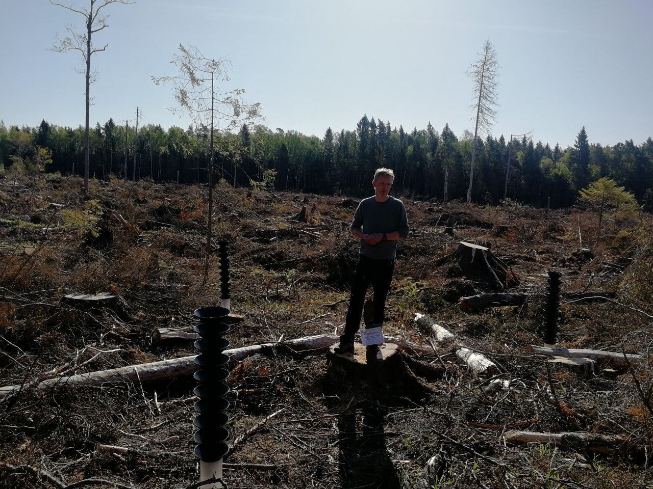 Viktigt att hålla koll på sin skog - Ålands Radio & TV